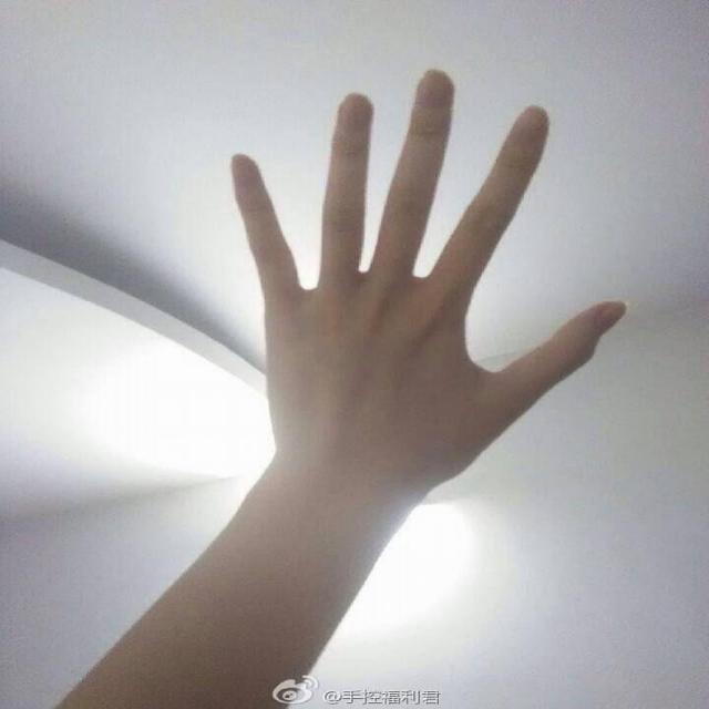 hand det Object Detection Dataset and Pre-Trained Model by hand