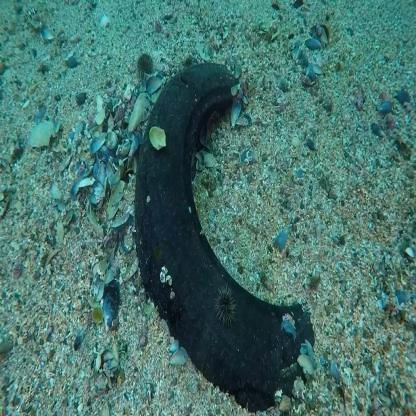 Machine learning (machine-learning-td9vh) - Roboflow Universe