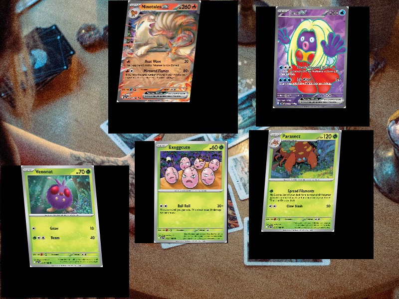 PokeLog - Roboflow Universe