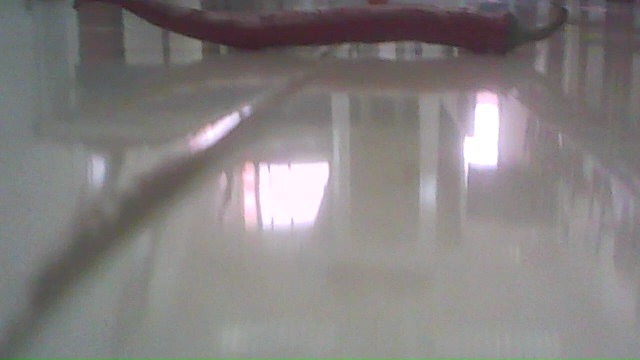 project 1 Object Detection Dataset and Pre-Trained Model by Fath Try Machine Vision