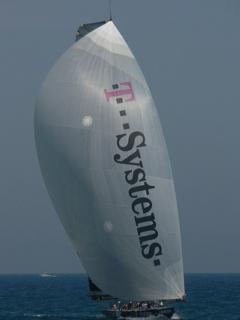 NAbirds Object Detection Dataset by Yiyi Wang