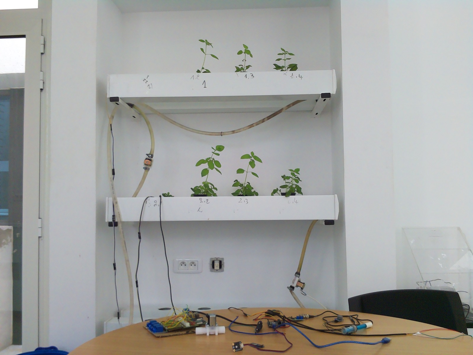 GreenLab Object Detection Model by Yolo