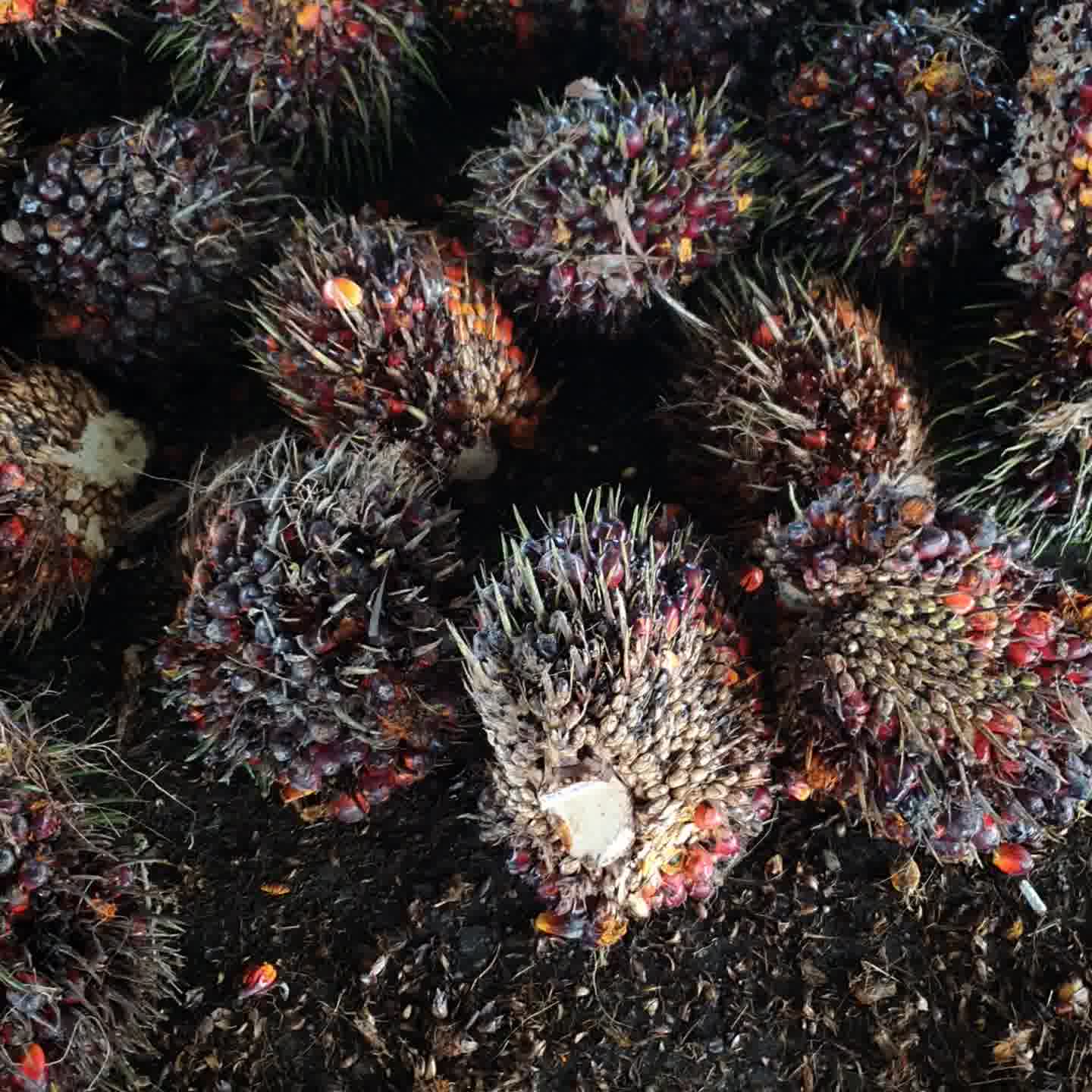 ZXCV (zxcv-7klte) - Roboflow Universe