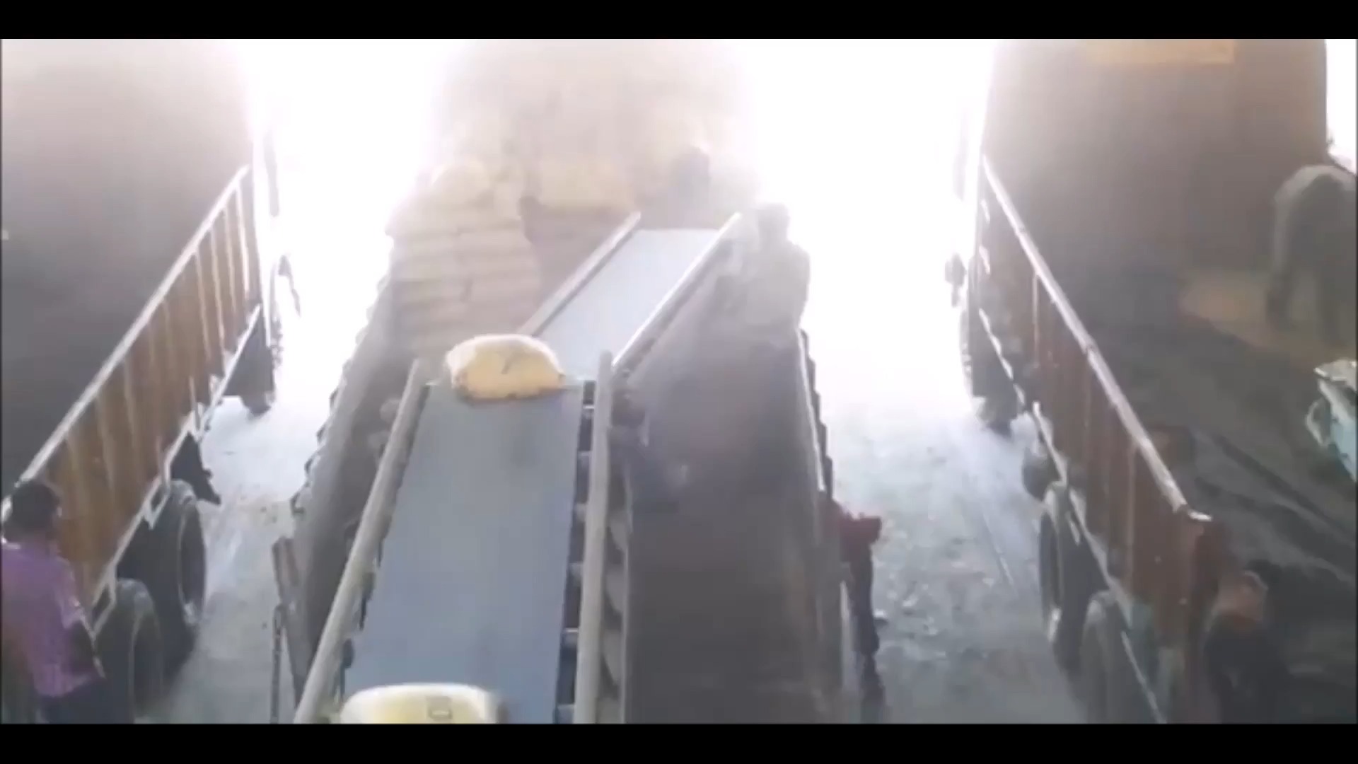 yolo11 Object Detection Model by affectnet