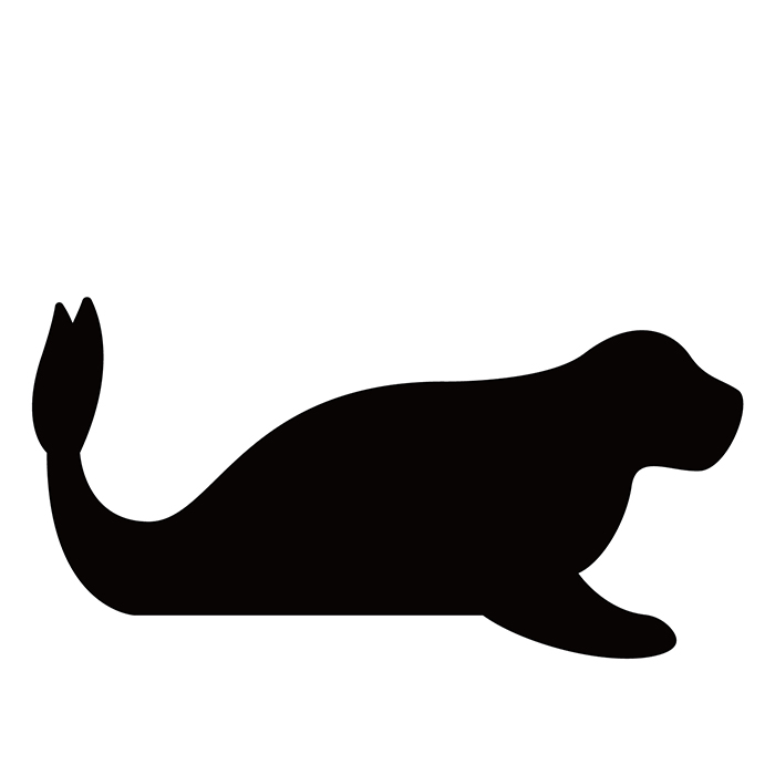 seal Object Detection Dataset and Pre-Trained Model by project-vnuod