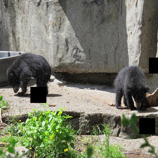 target_bear Object Detection Dataset by drill01