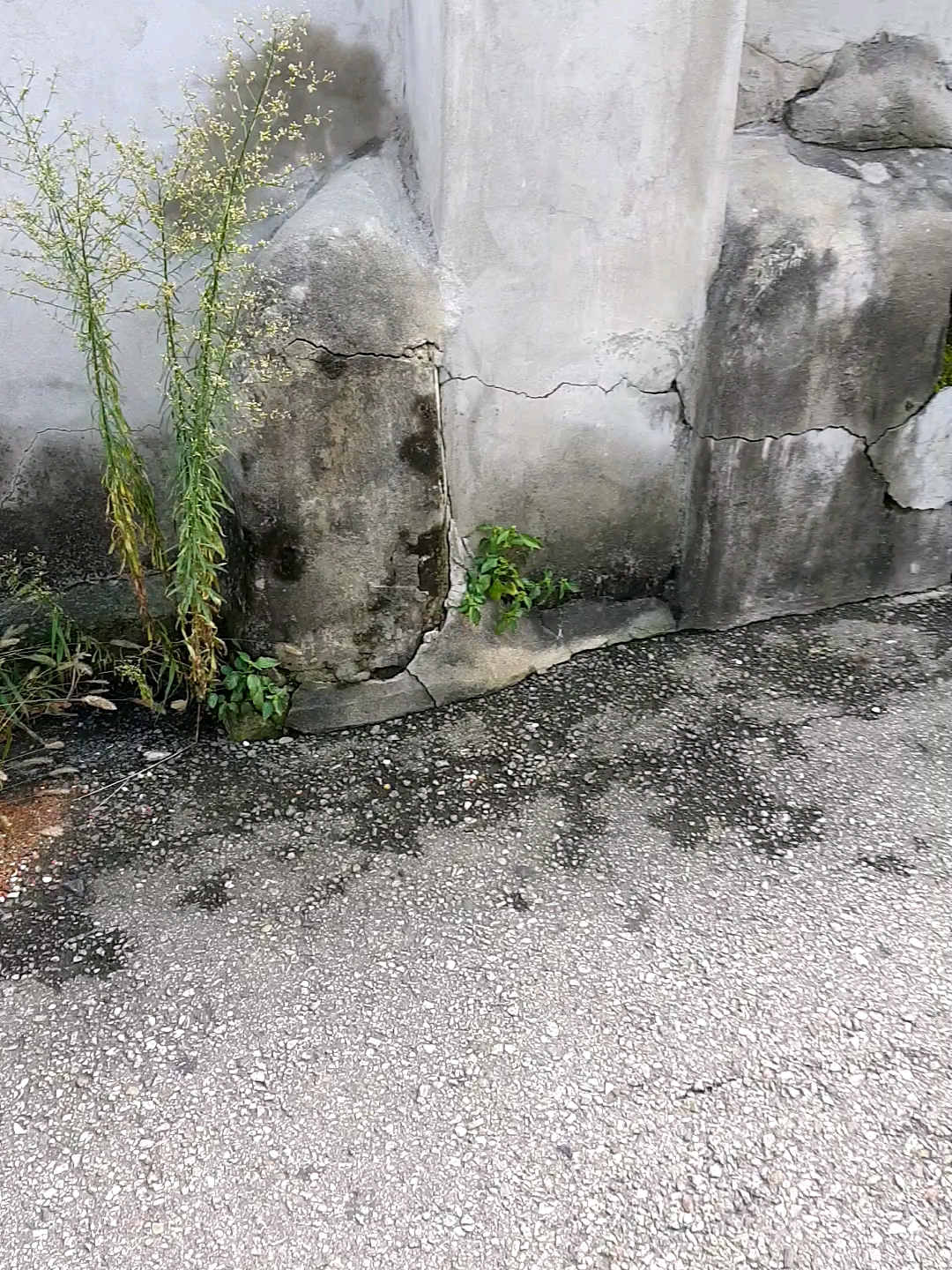 scaling_dando1 Instance Segmentation Dataset by scalingdando1