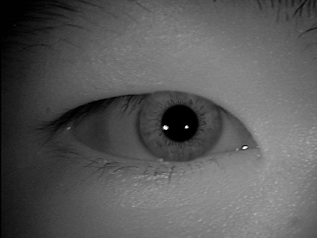 IRIS Instance Segmentation Dataset by Aditya