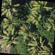 Oil Palm Plantations Object Detection Model by Ind Research Projects