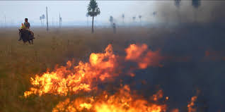 fire Instance Segmentation Dataset by Luca Landsiedel