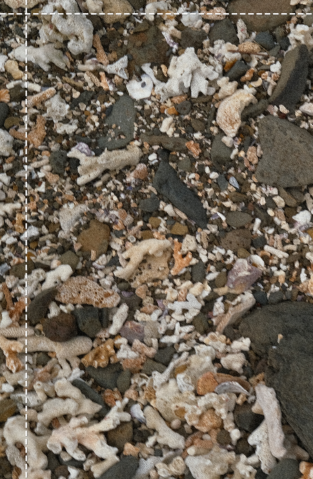 How to Use the bottle detection Object Detection API