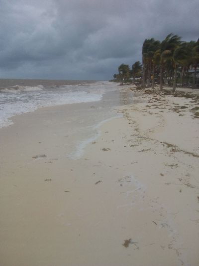 Estadias Instance Segmentation Model by yolo