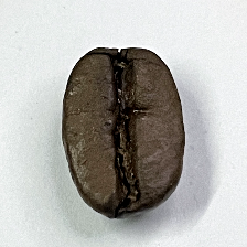 Coffee Bean Object Detection Model by Nantawat