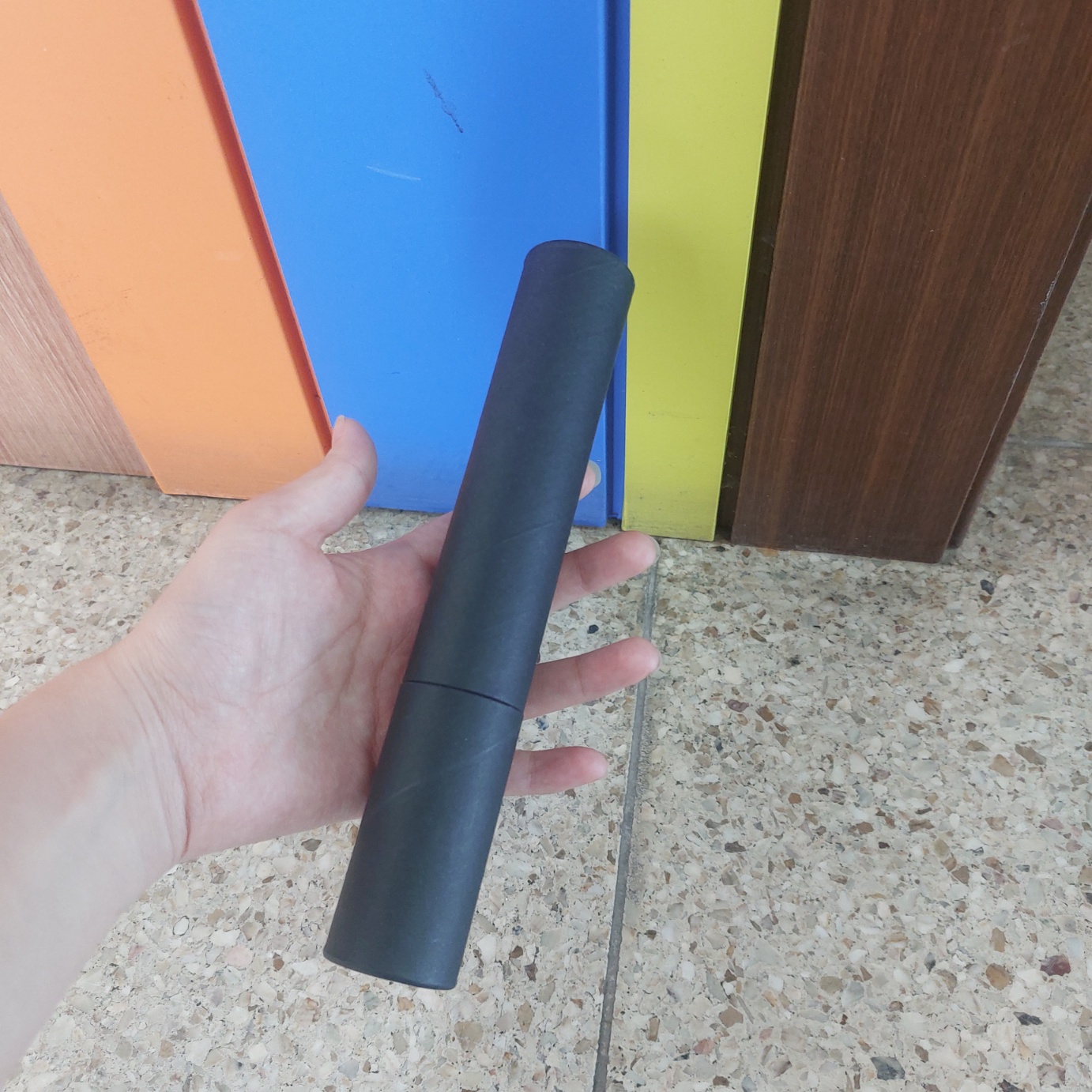 Pole Detection 2 Instance Segmentation Dataset by My Project