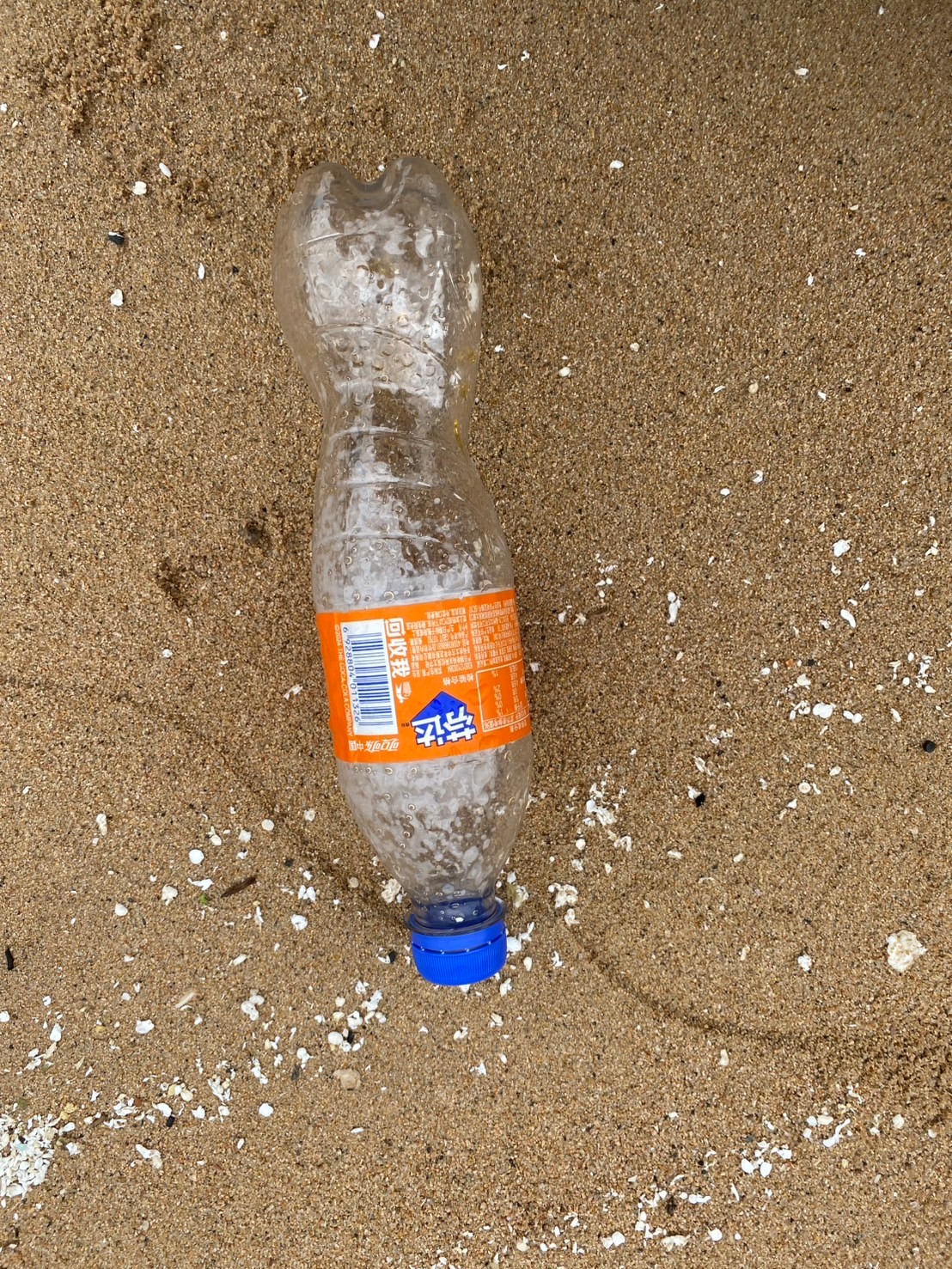 Marine Debris Object Detection Dataset V3 2024 10 08 3 33am By Sandy