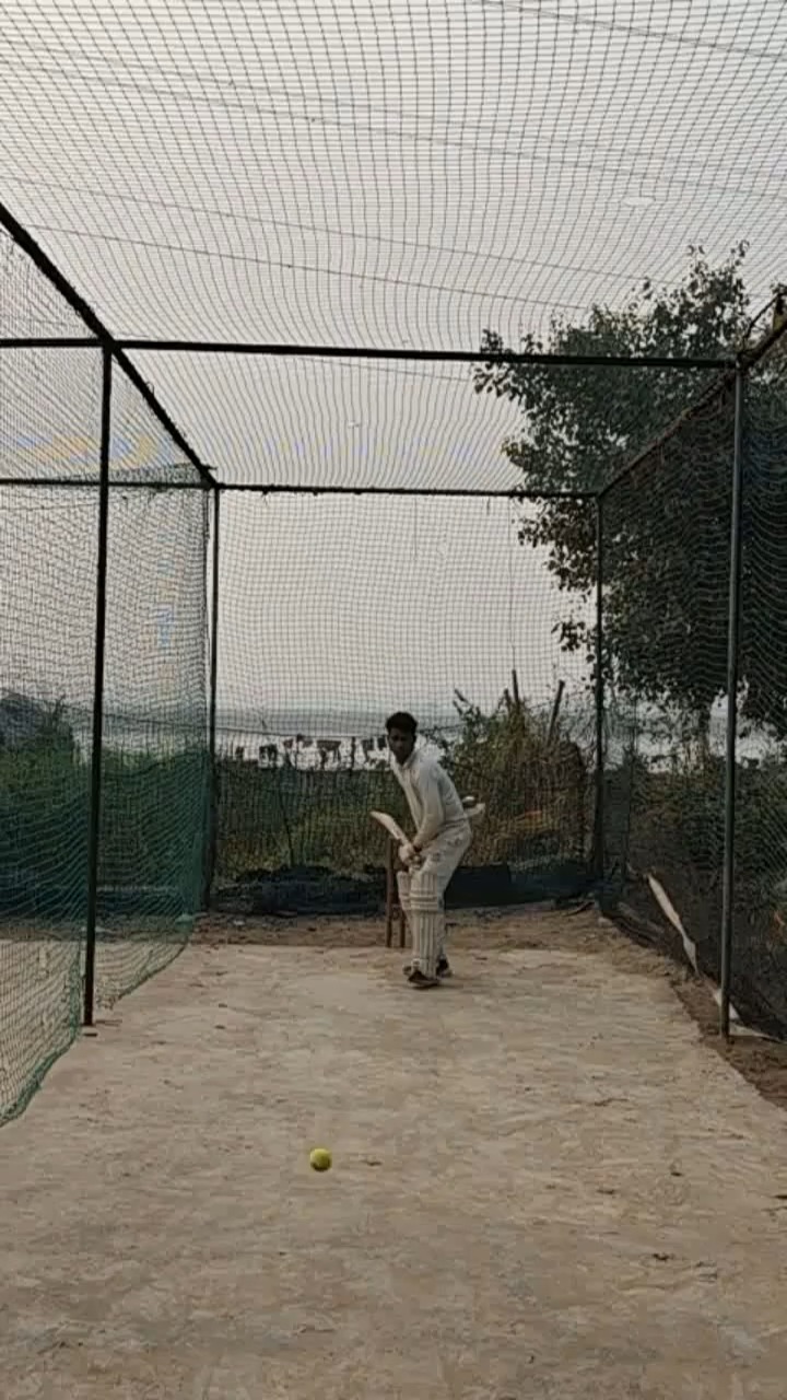 Bat Detection Fv Keypoint Detection Dataset By Bat Detection Umpire View