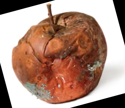 fruit grading Instance Segmentation Model by Recognition of fruits