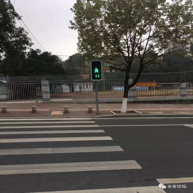 Crossing Model Object Detection Dataset By Objectdetectionarena