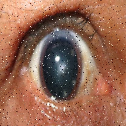 Kyru - Roboflow Universe