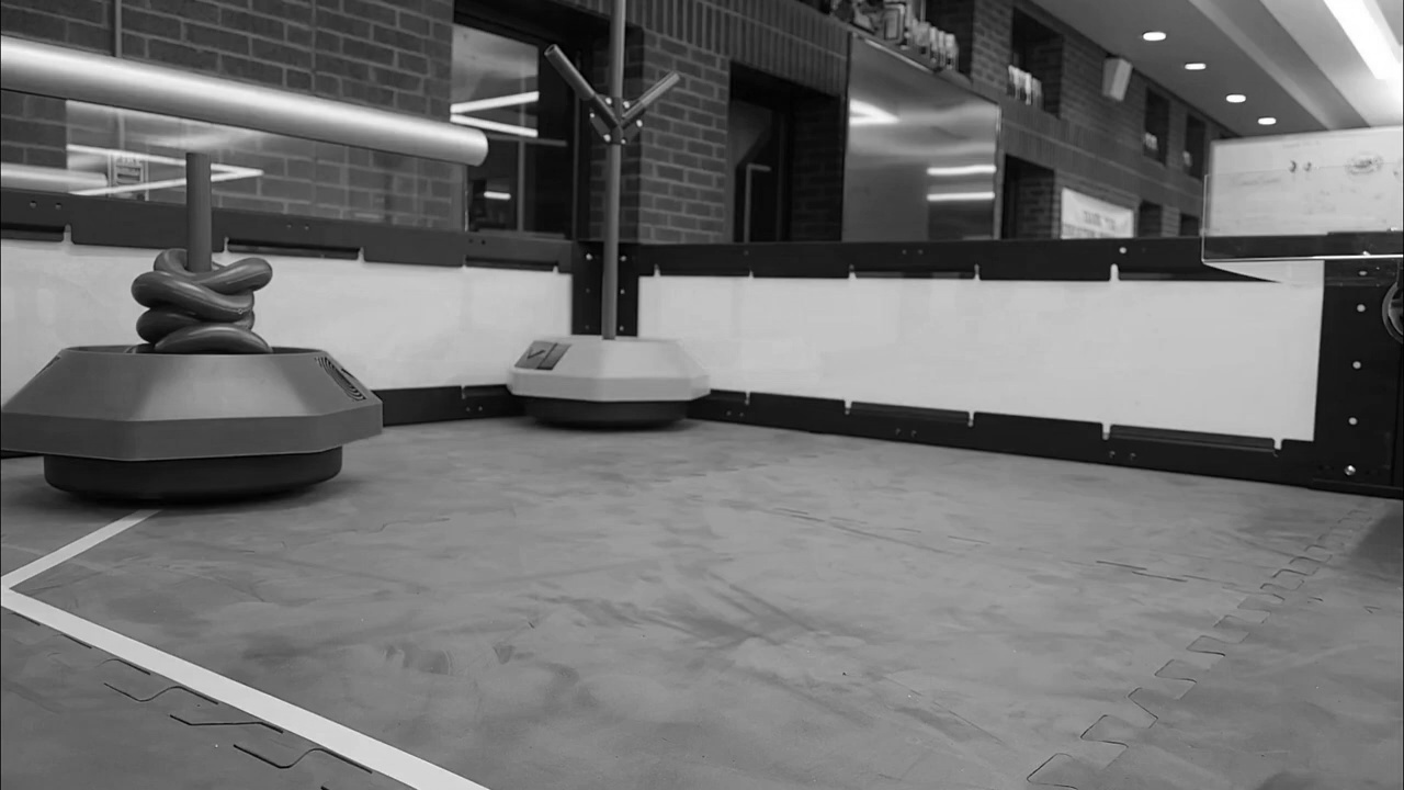 Saaz Mahadkar - Roboflow Universe