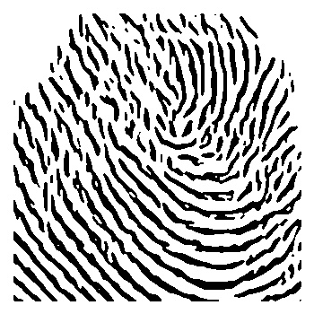 finger-test Object Detection Dataset by Krzysztof Trusiak