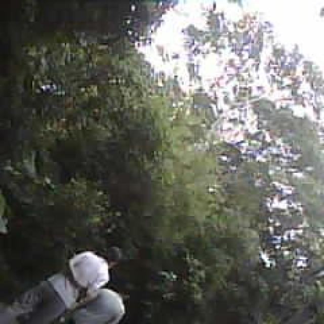 Work1 (work1-wfofi) - Roboflow Universe