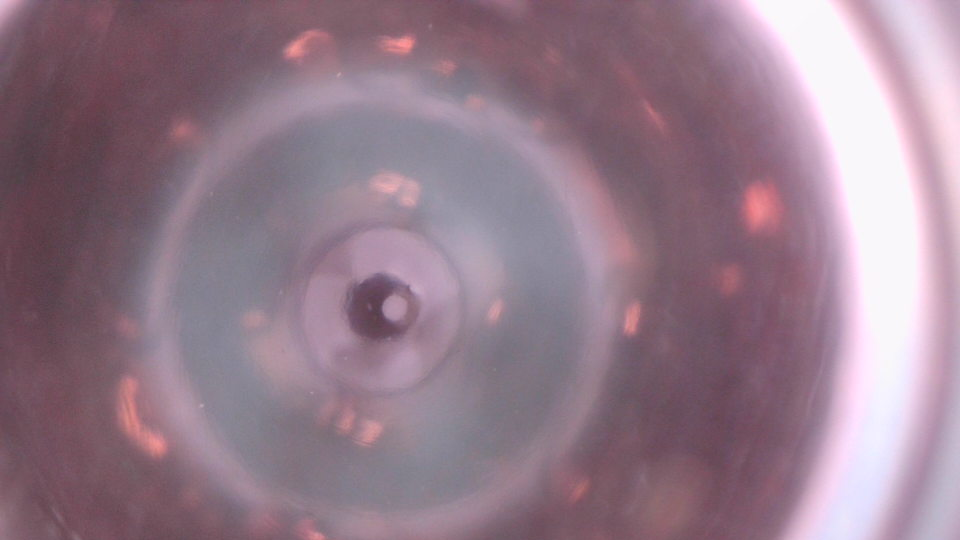 organoid-detect2 Object Detection Dataset by organoid