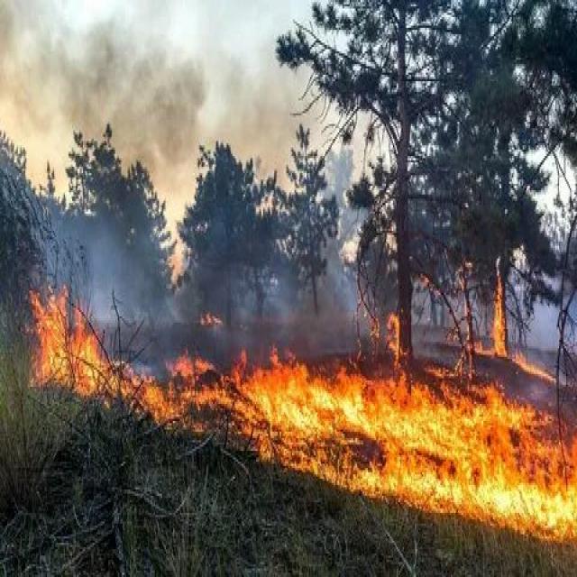 Fire and Smoke detection Object Detection Dataset by project-ps0mc