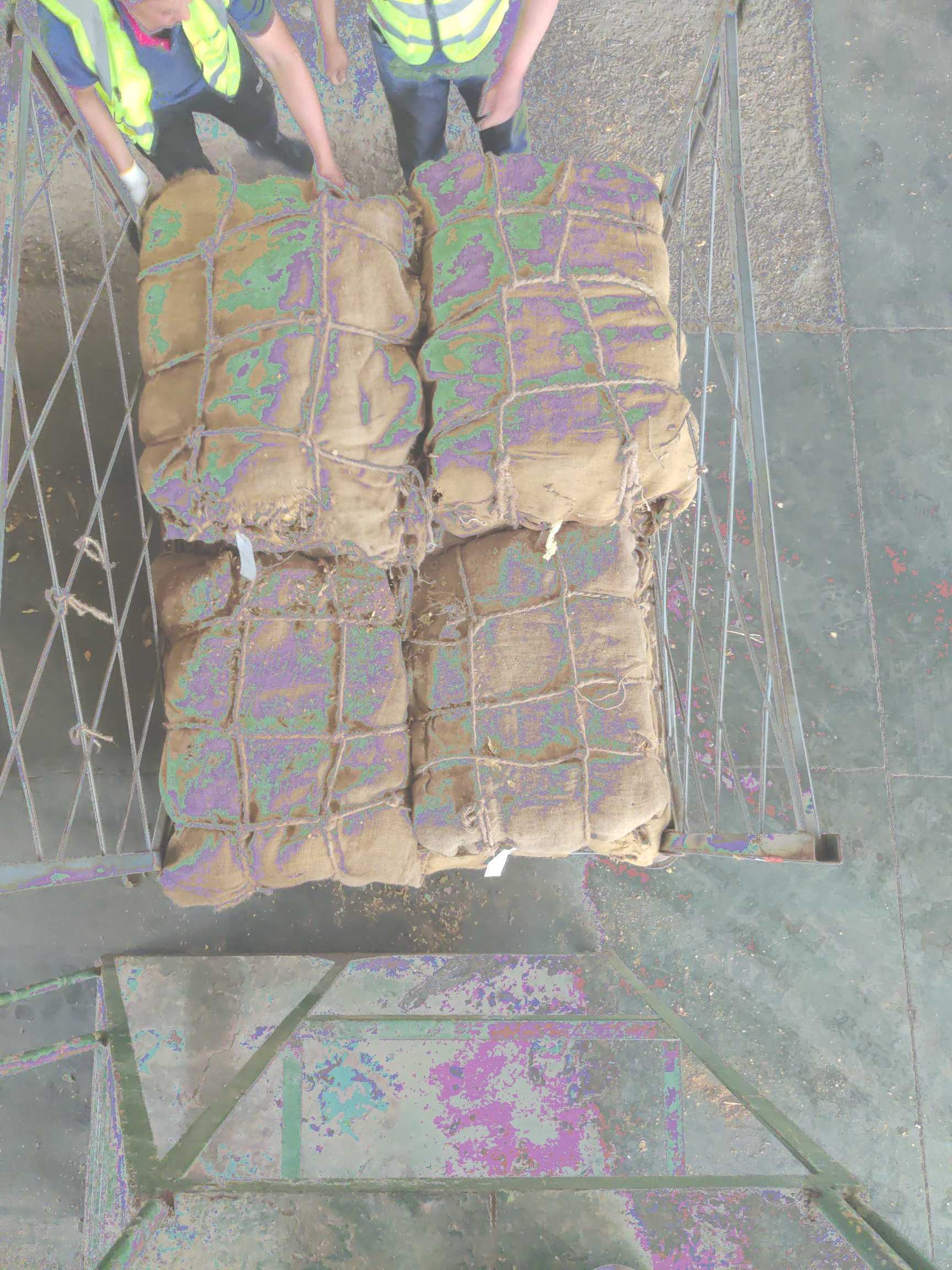 sack-Augmented Object Detection Dataset and Pre-Trained Model by hy