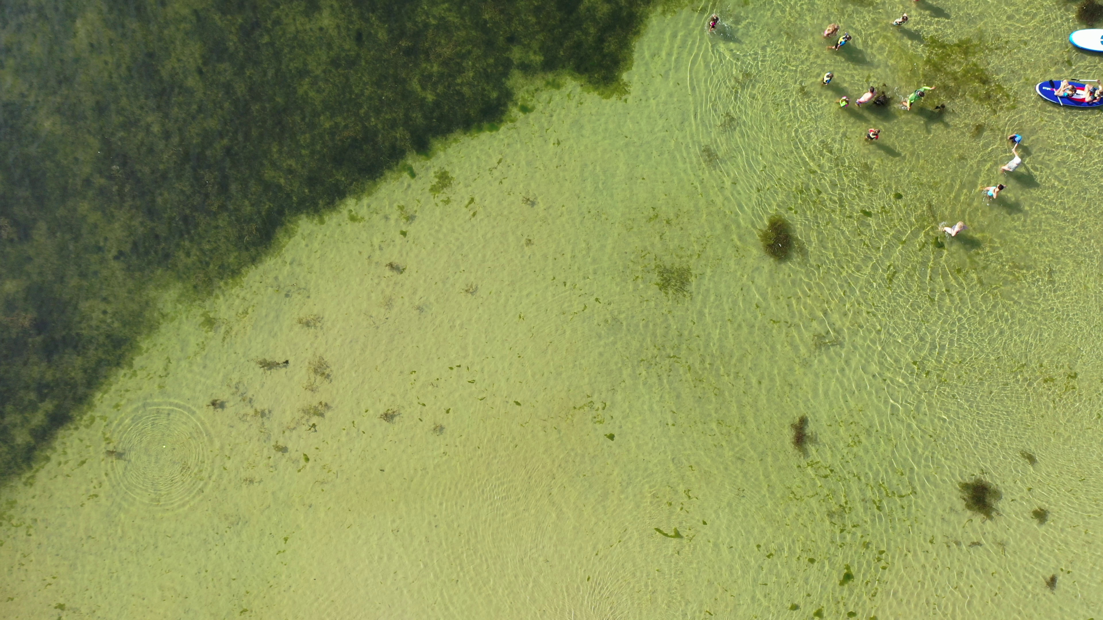AFO - Aerial Dataset of Floating Object Object Detection Dataset by ...