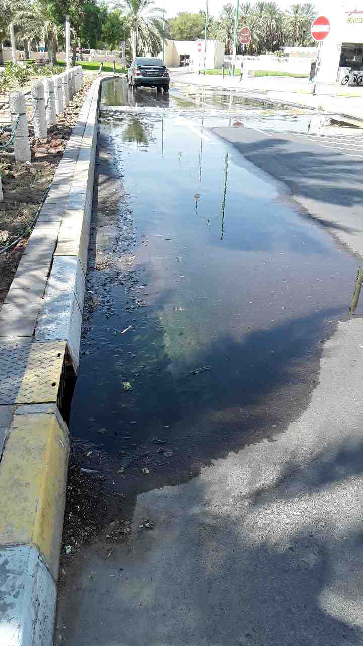 objdetect10001 with manholes Object Detection Dataset by RDD