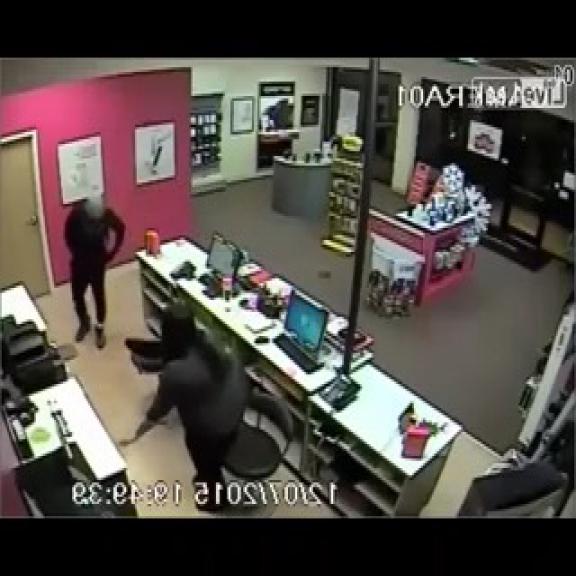 Crime Detection Object Detection Model By Mel