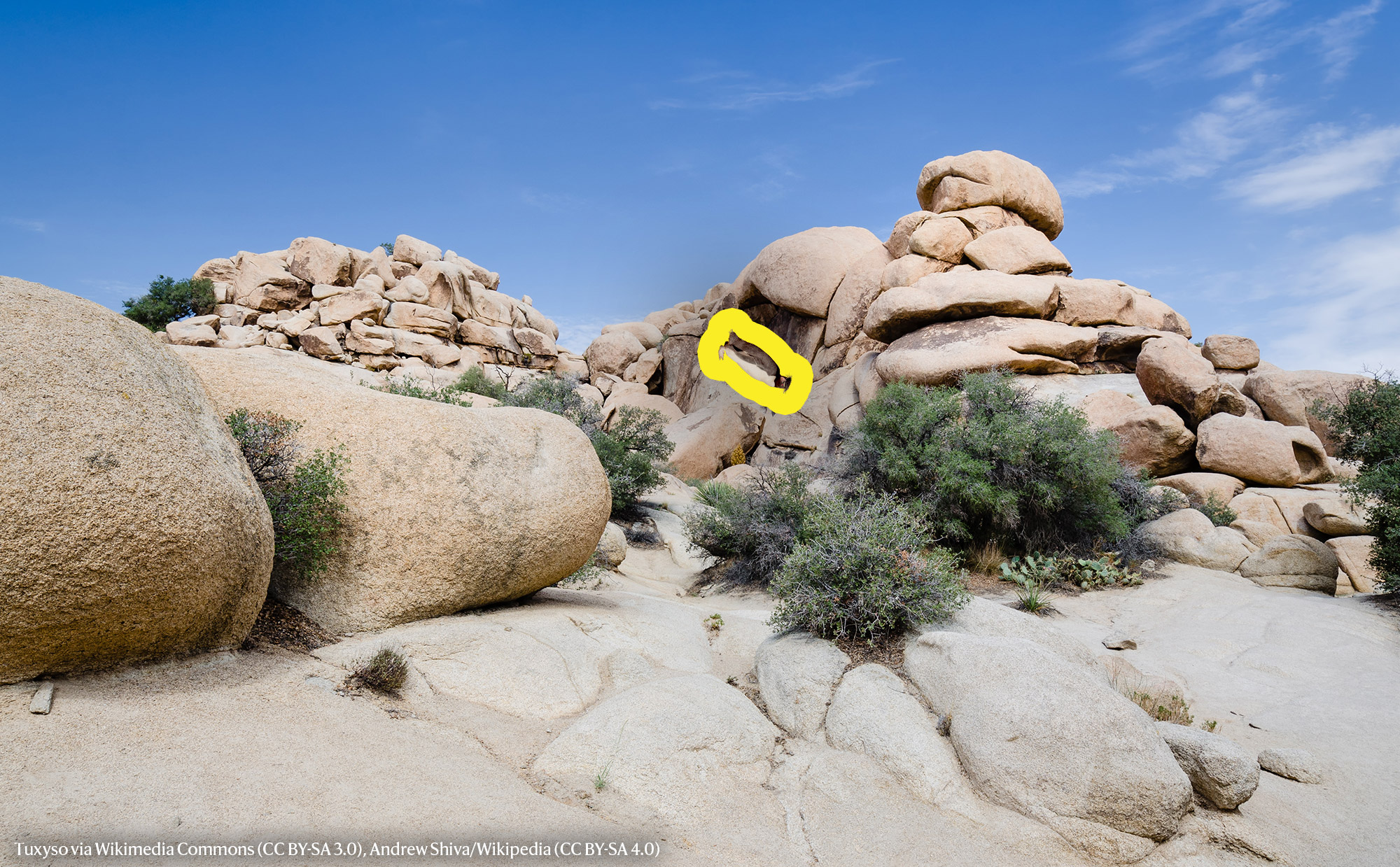 marine-and-aerial-segmentation Instance Segmentation Dataset and Pre ...