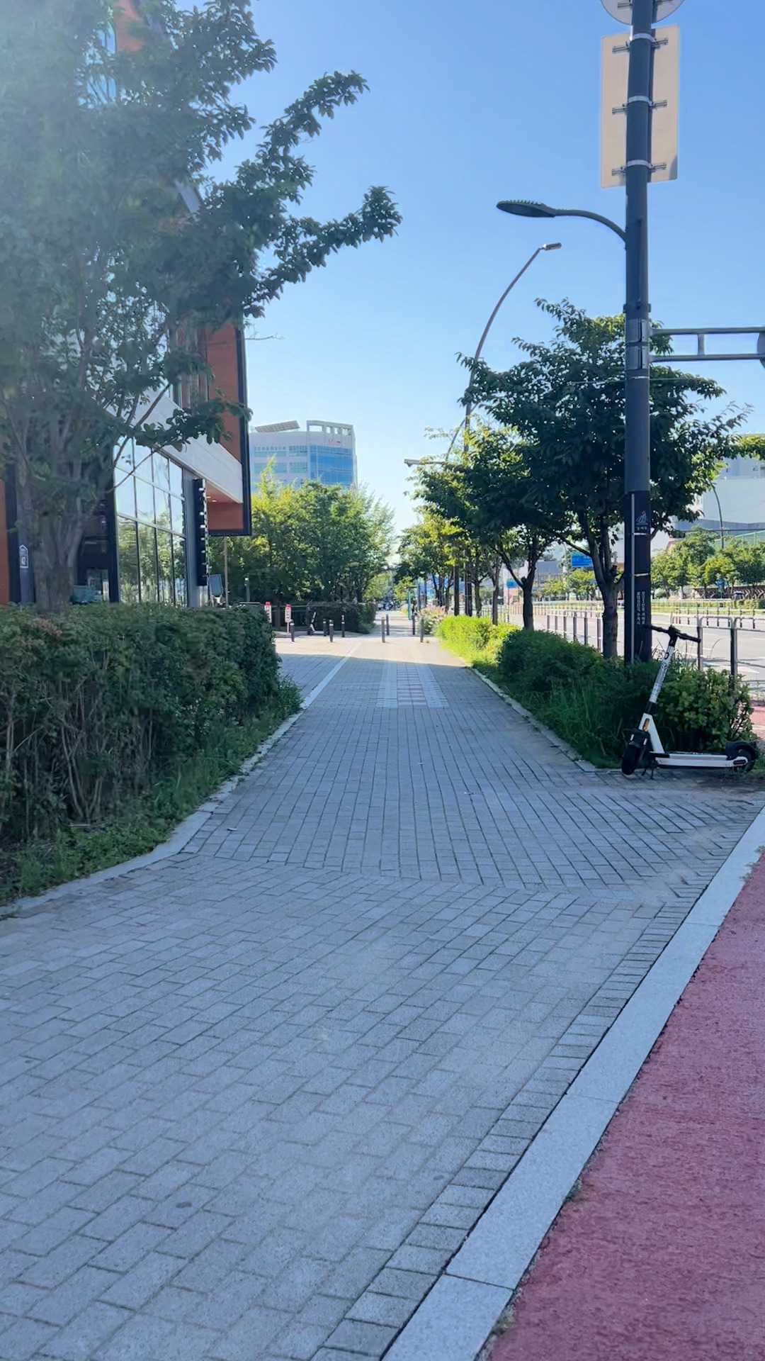 blind-navigator Object Detection Model by blindnavigator