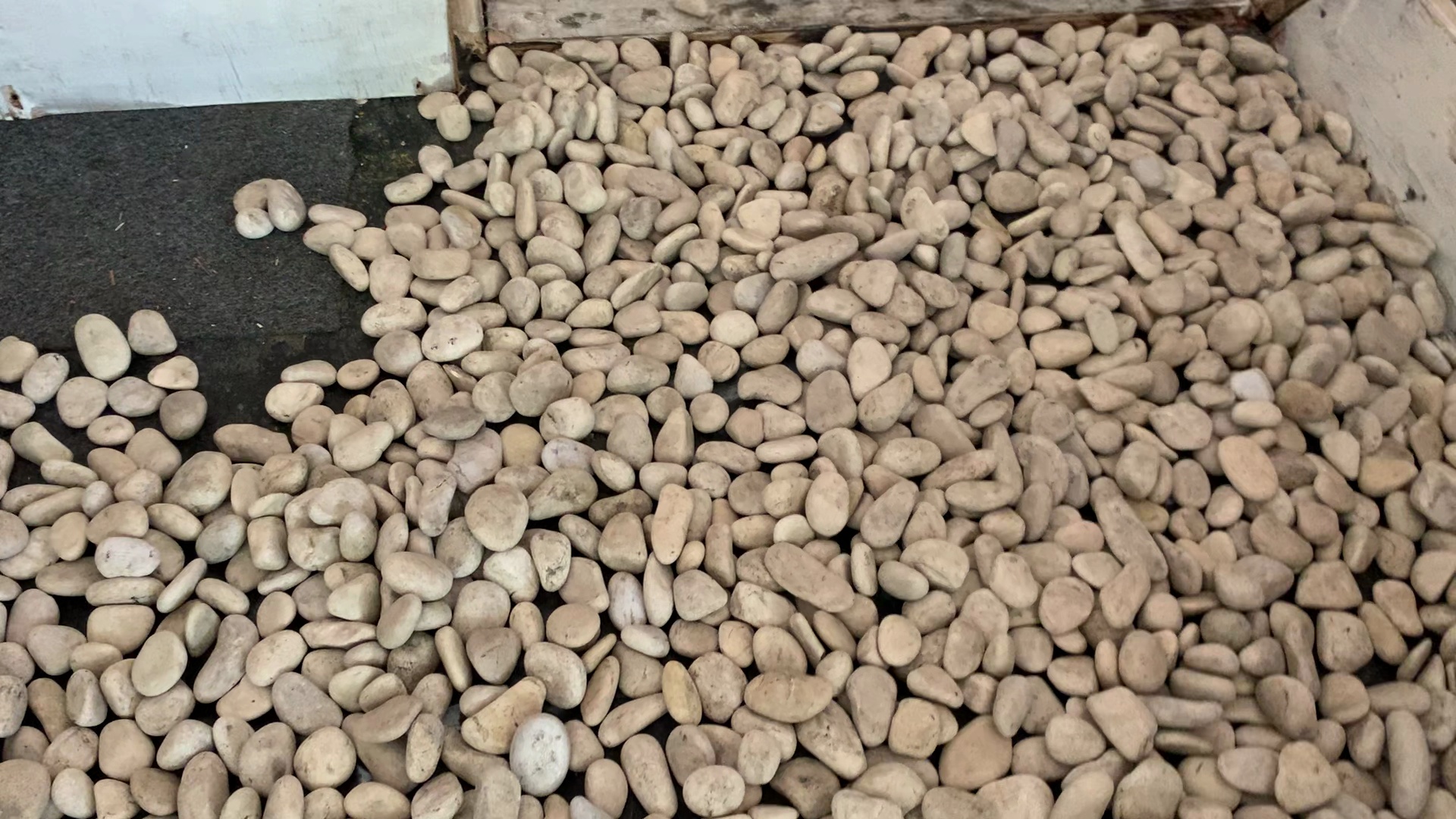 Hexapod_Object Detection Object Detection Dataset by hexapodOD