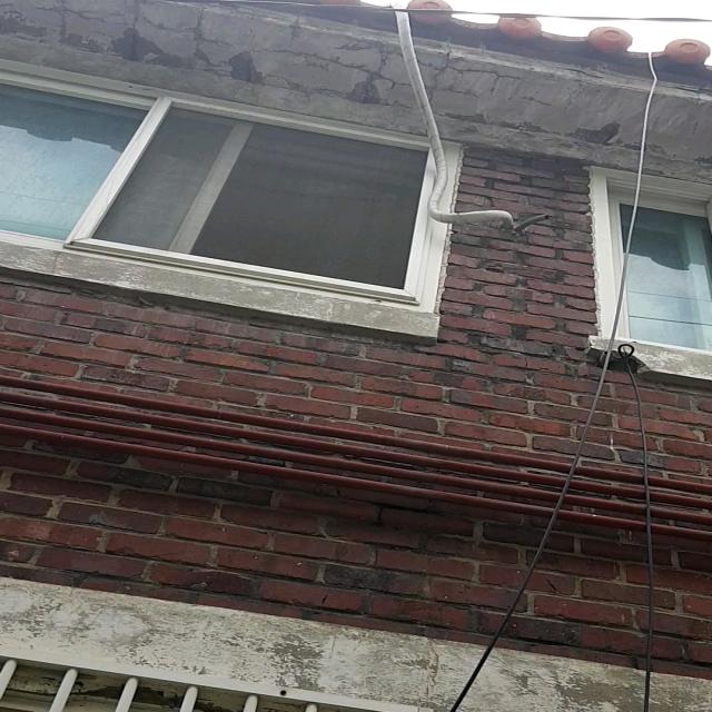 rebar Instance Segmentation Dataset by scalingdasedae