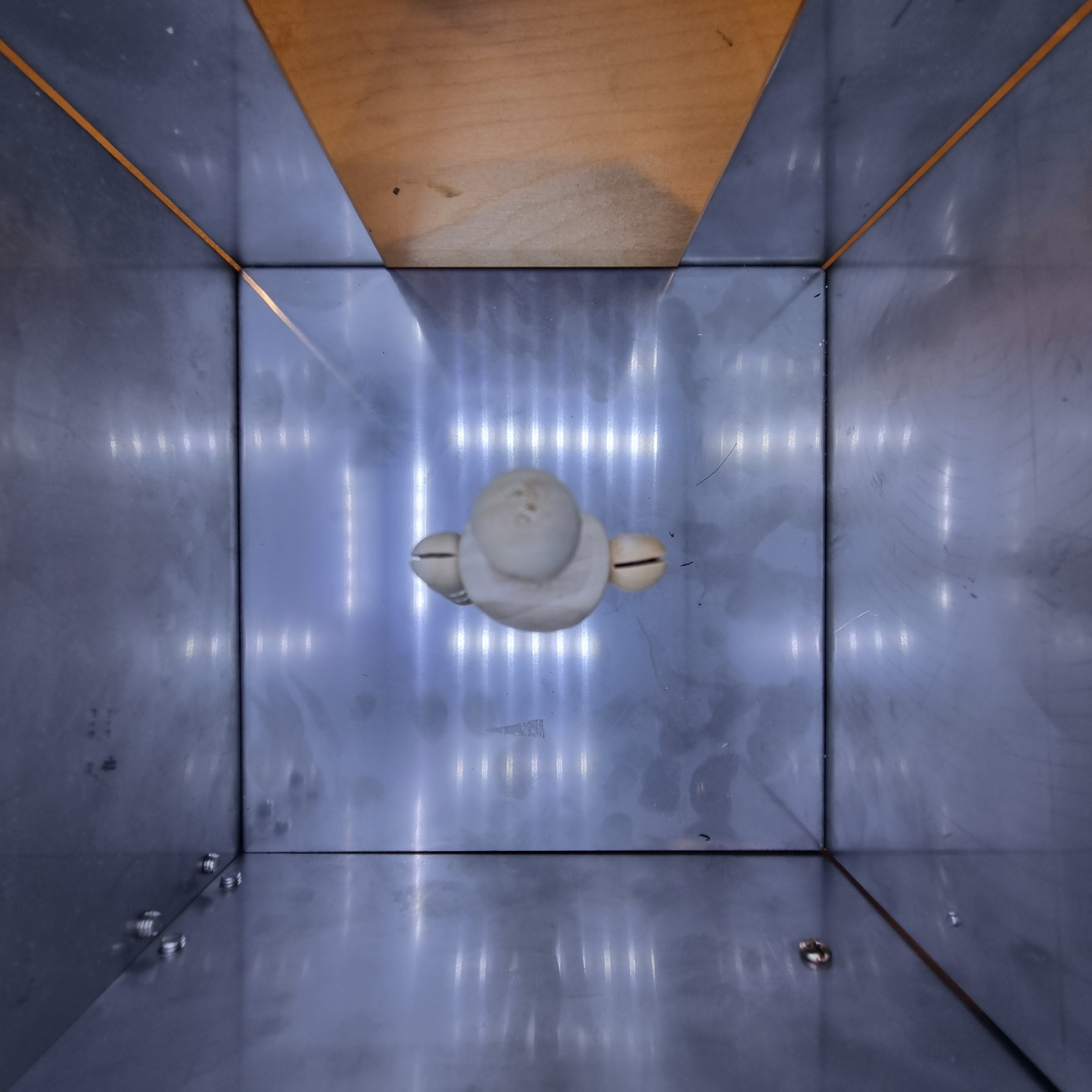 Elevator Passenger Detection Object Detection Dataset And Pre Trained