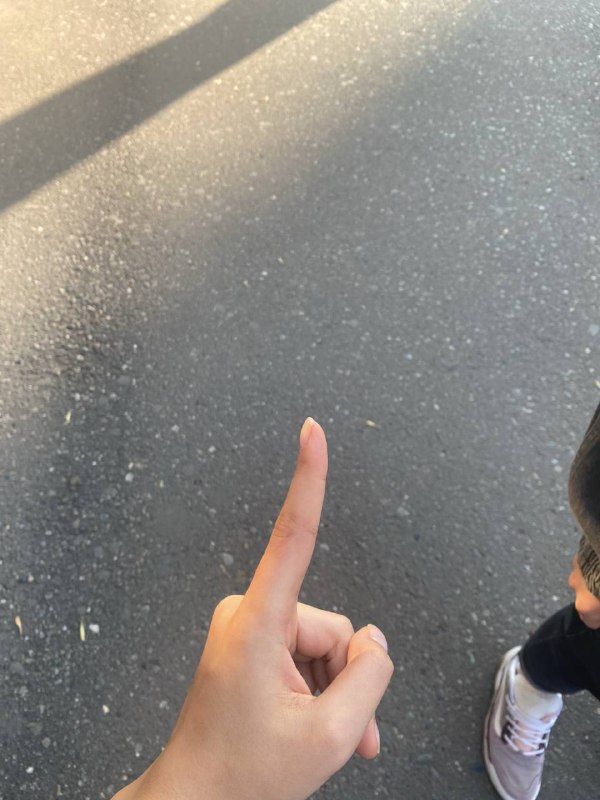 forefingeer_cursor Object Detection Dataset by Yolo