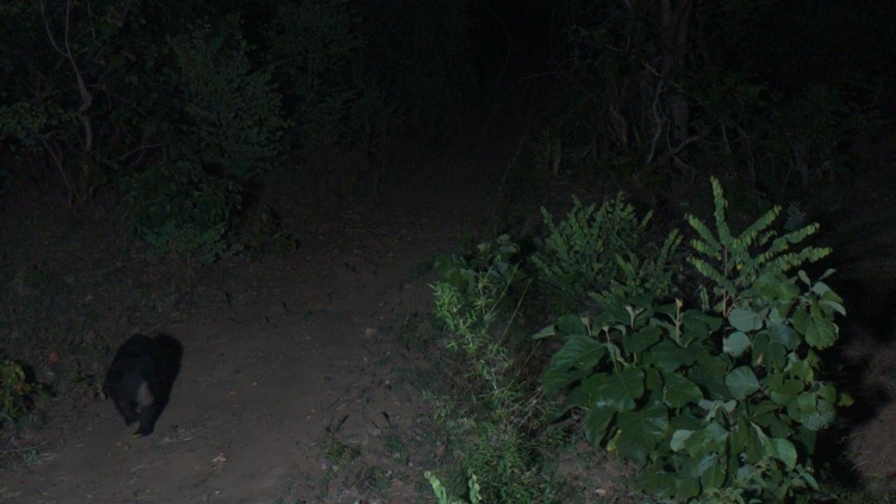 low light Object Detection Dataset and Pre-Trained Model by KNDU