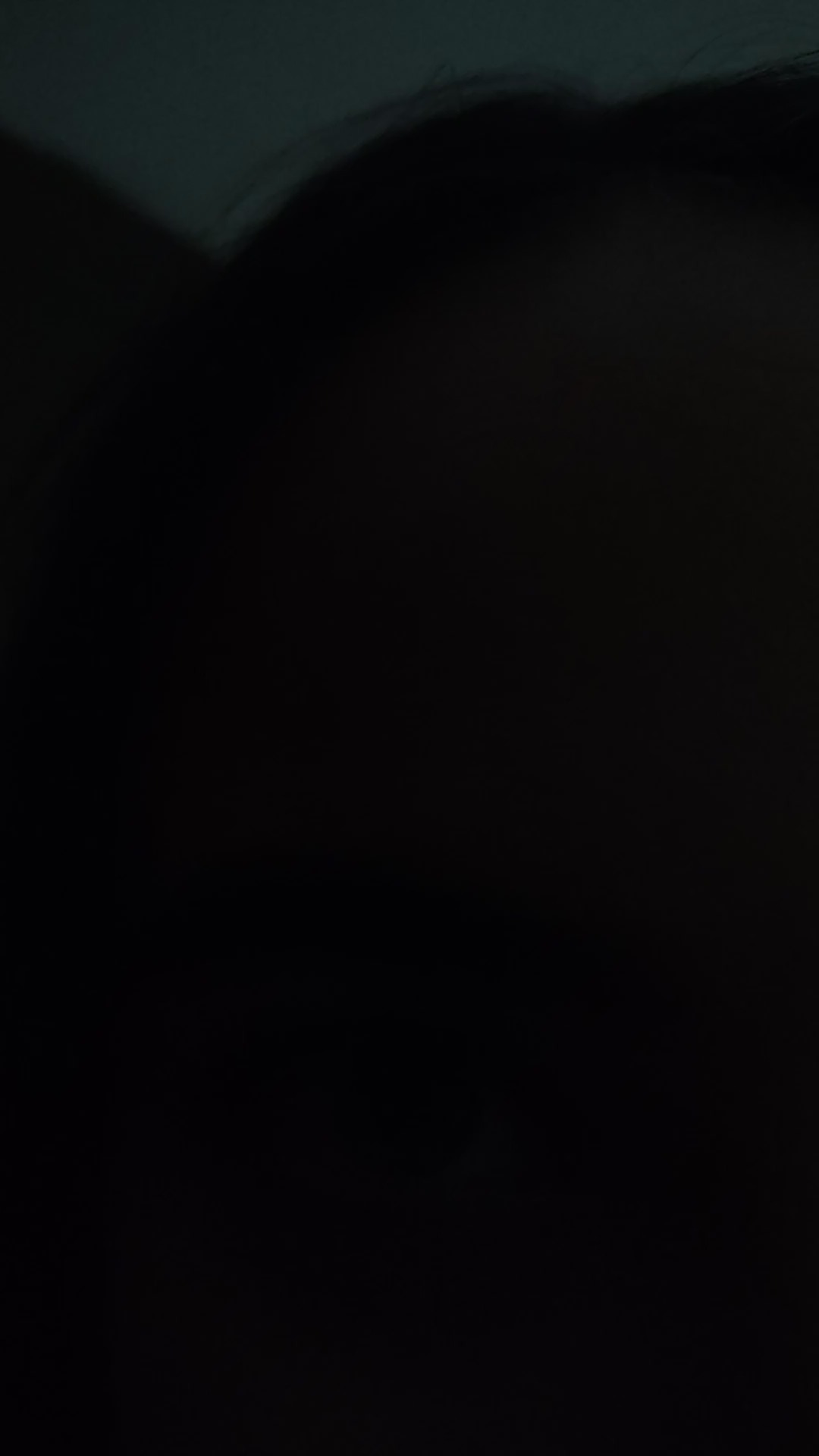 pupilDetection Object Detection Dataset (v2, 2025-01-01 7:47am) by gp4 pupilDetection Object Detection Dataset (v2, 2025-01-01 7:47am) by gp4