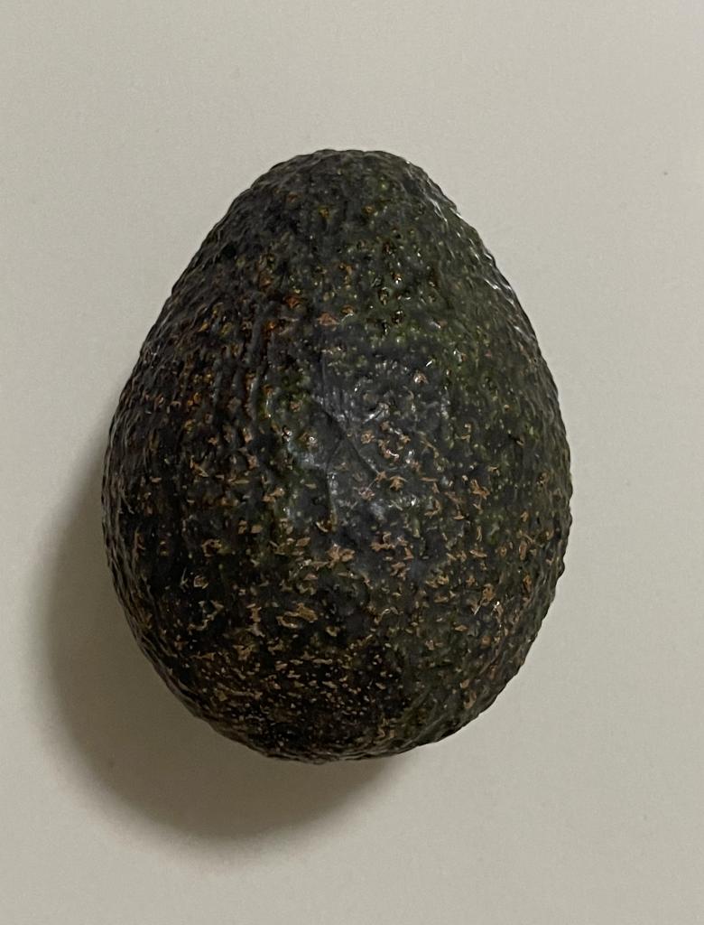 Avocado Test Project Classification Dataset And Pre Trained Model By