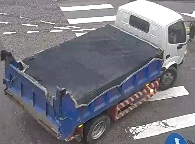 a Instance Segmentation Dataset by new-workspace-qoqkr