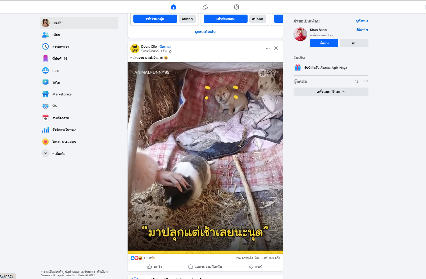 Model Detect Object Detection Dataset By Modelposts