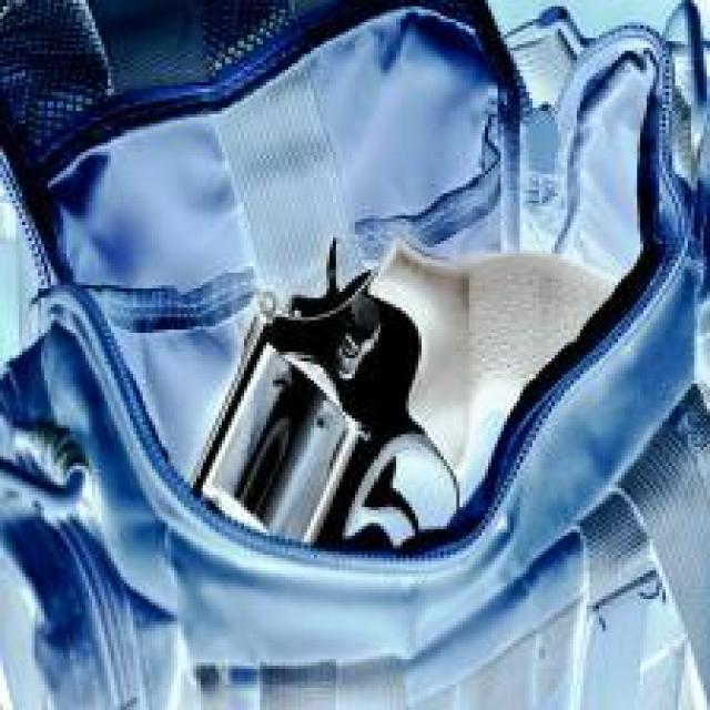 weapon detection 3 Classification Dataset by Dulooj