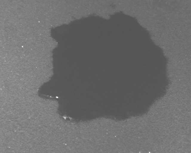 road reflection Instance Segmentation Model by road reflection