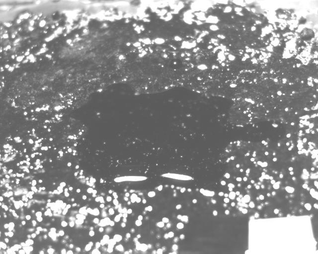 road_seg Instance Segmentation Dataset by road reflection road_seg Instance Segmentation Dataset by road reflection