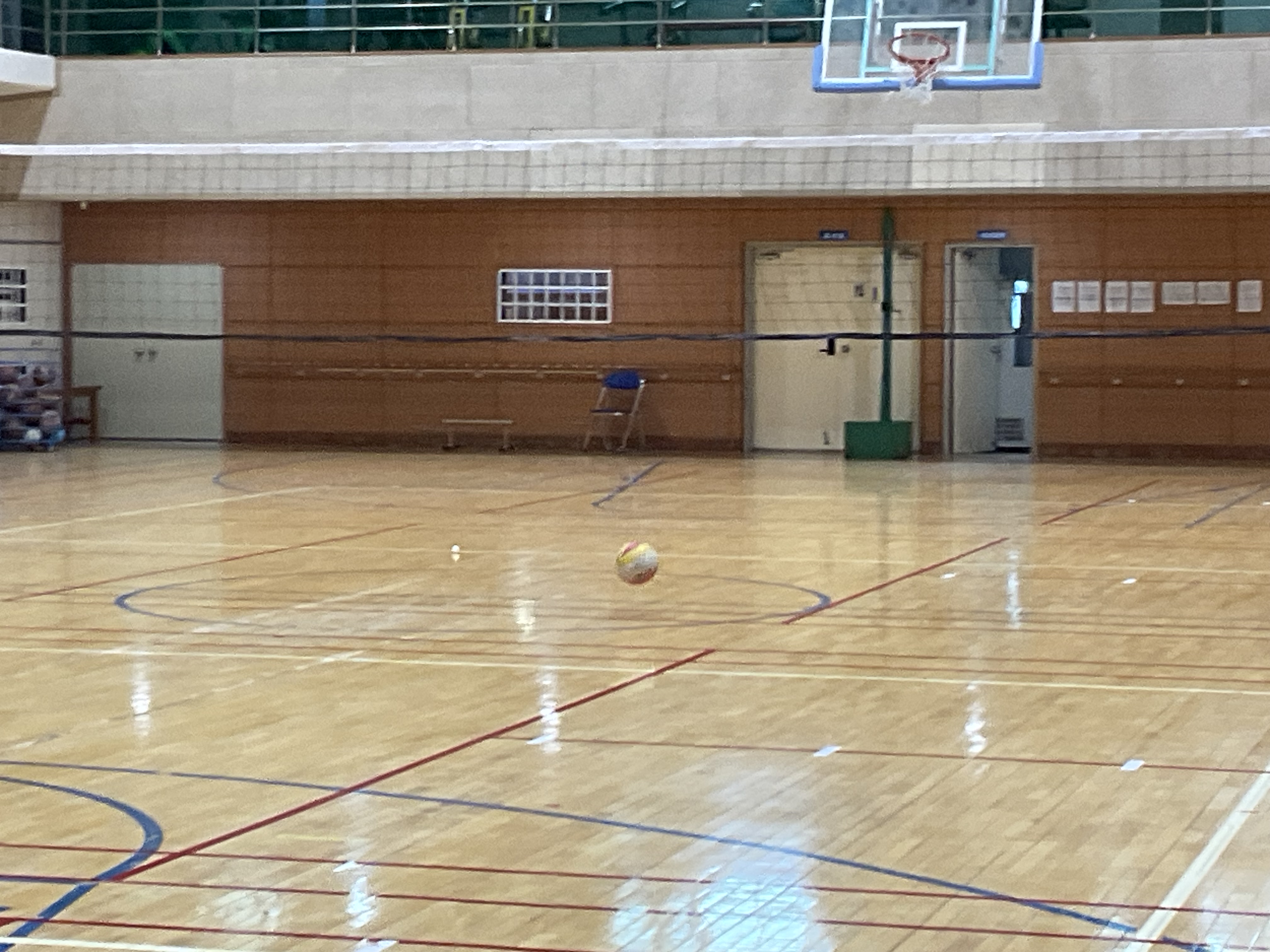 Volleyball Test Object Detection Dataset By Volleyballobject