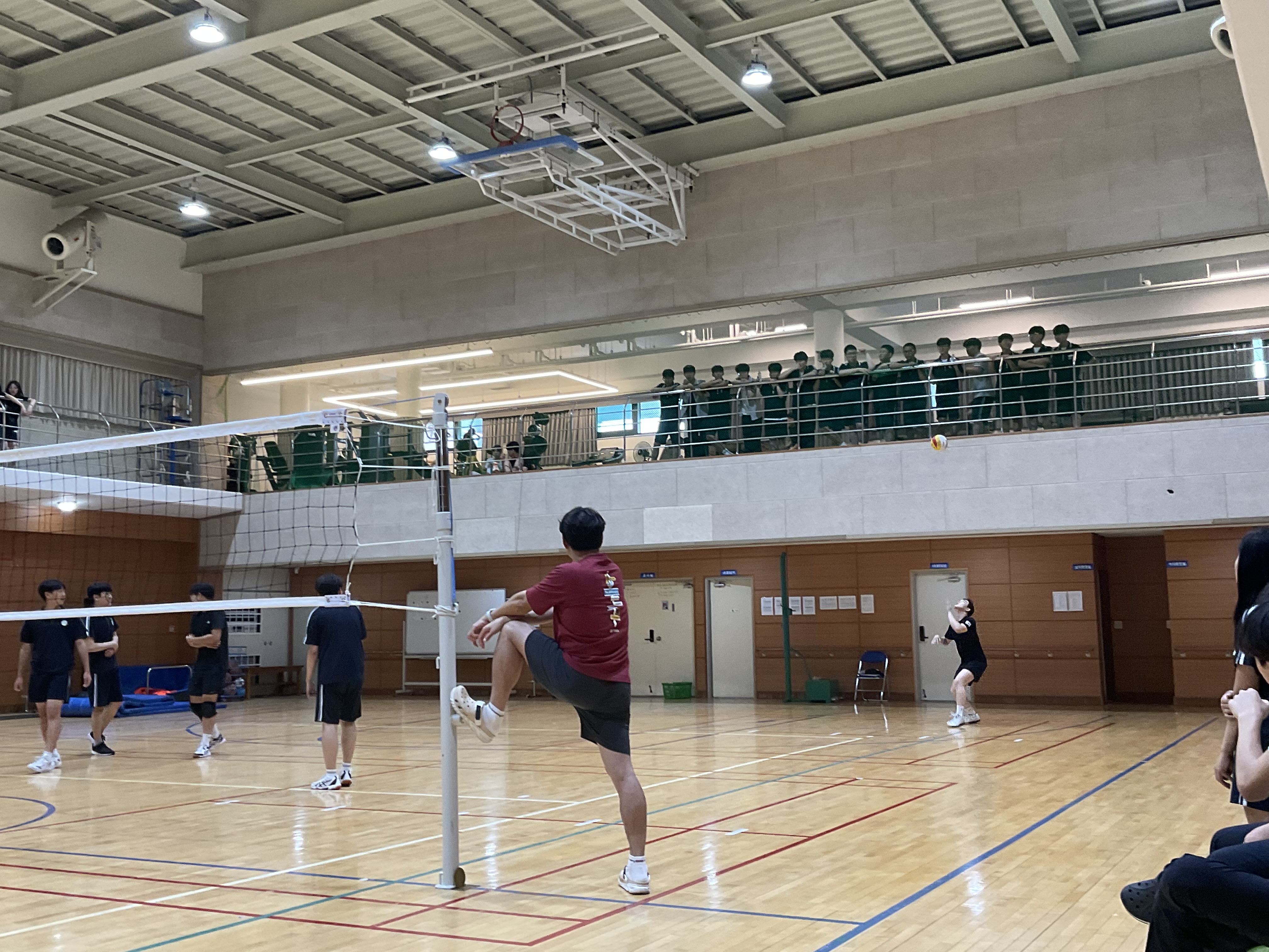 volleyball_detection Object Detection Model by volleyballobject