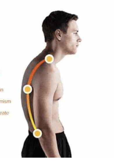 shoulder classification Classification Model by Fchs
