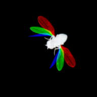 detect wings Instance Segmentation Dataset and Pre-Trained Model by Danit